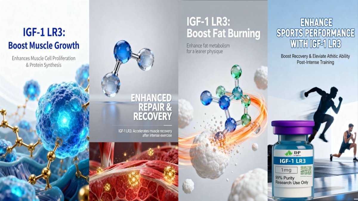 Guía IGF-1 LR3 Peptide: Usos, manejo y precio | HGH Peptides Lab